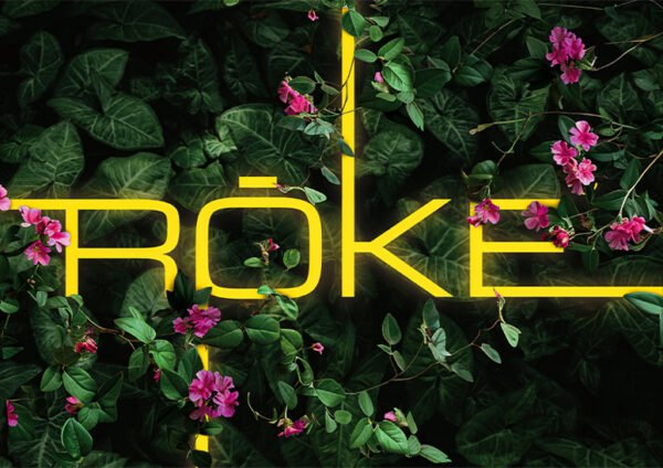ROKE - Perfumes Inspirados
